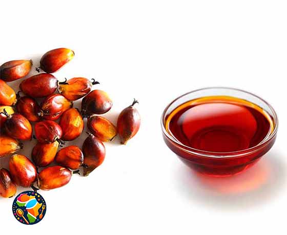 Red Oil (Palm Oil) – africfoodlinks.com